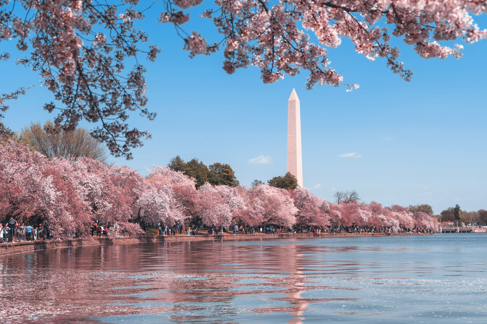 Washington DC | Korean American Center | King Sejong Institute